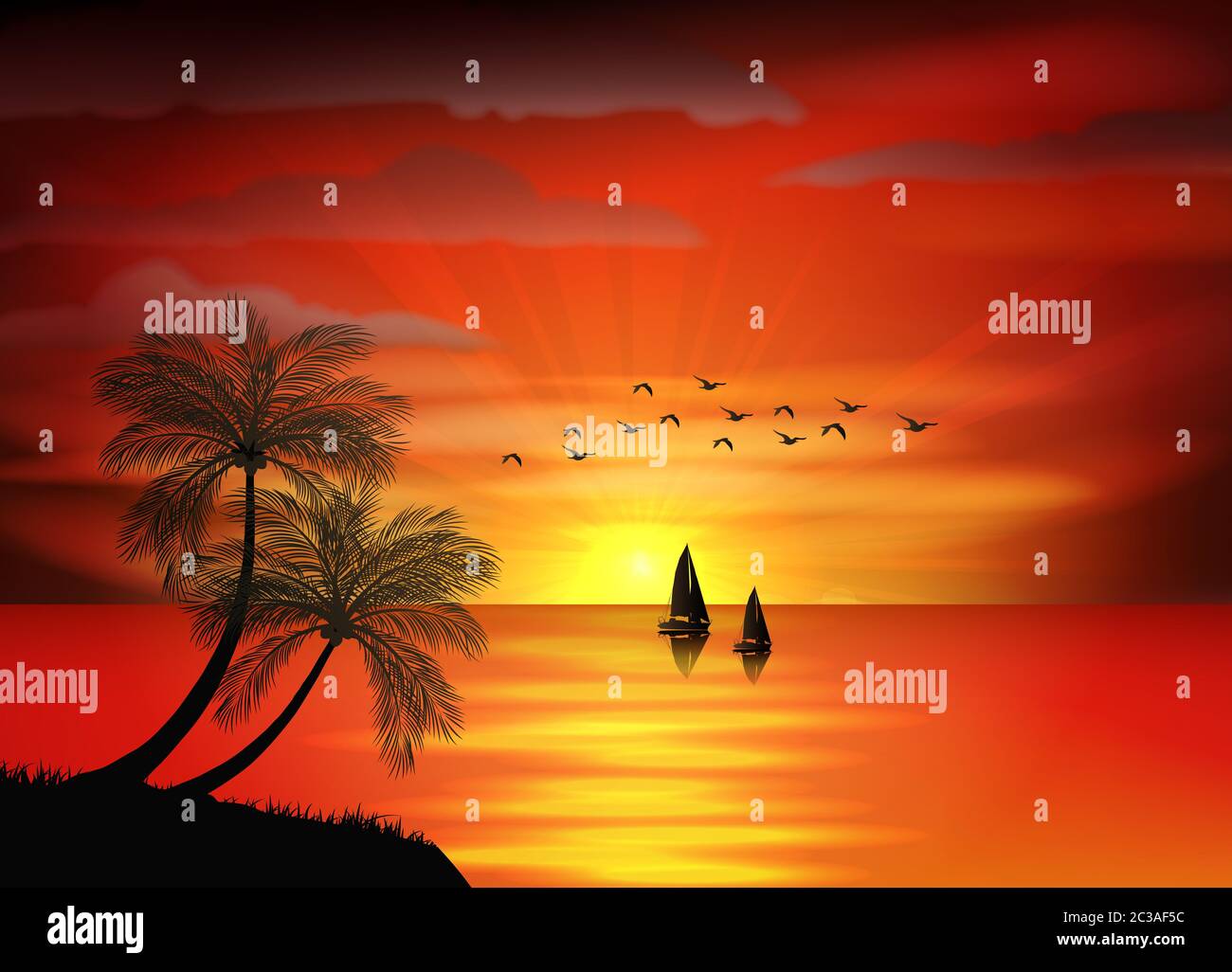 Photo of sunrise with bird on sea and sea boat. vector illustration ...