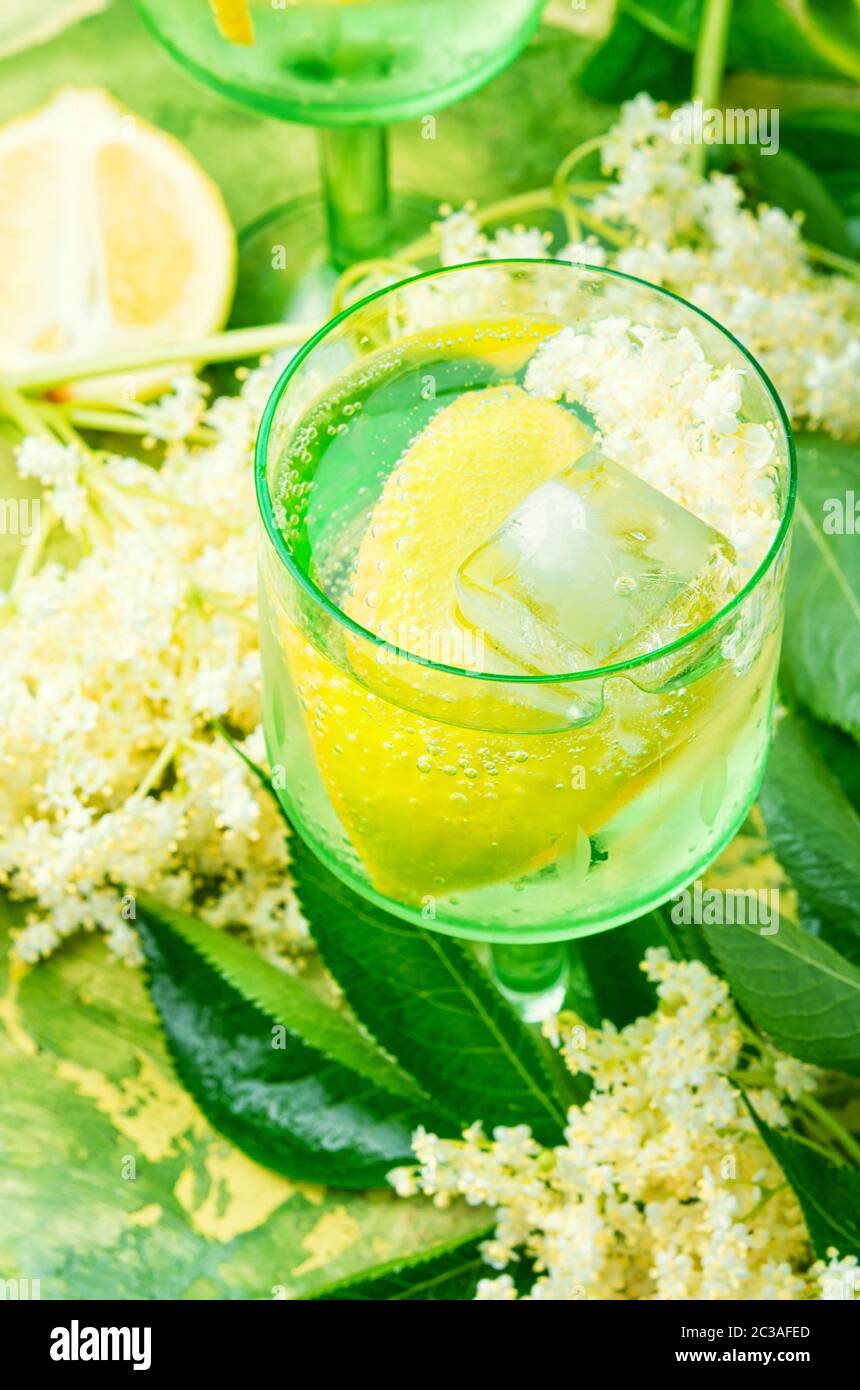 Summer drink from elderberry and lemon inflorescences.Cooling drink ...