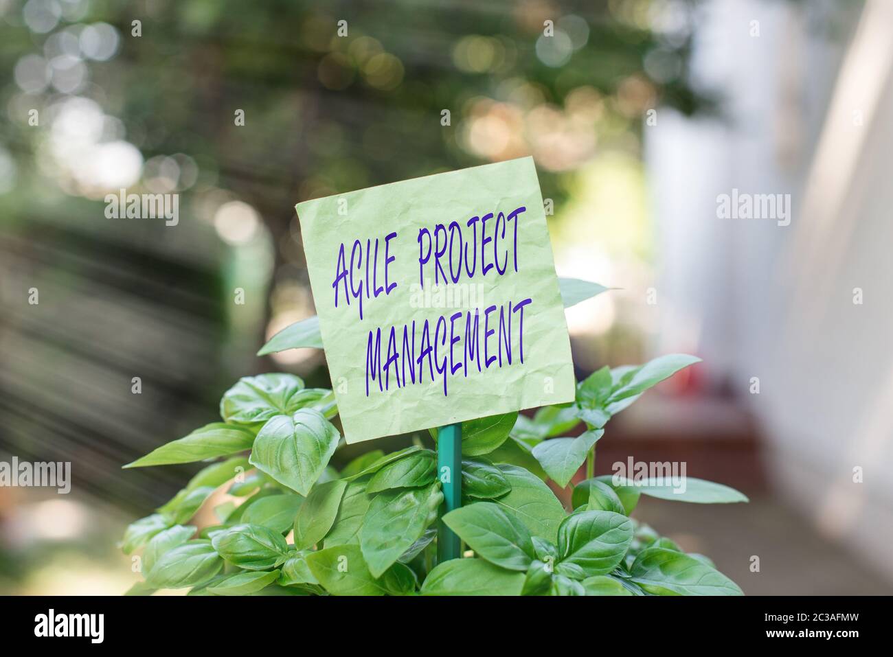 Text sign showing Agile Project Management. Business photo text ... Text sign showing Agile Project Management. Business photo text ...