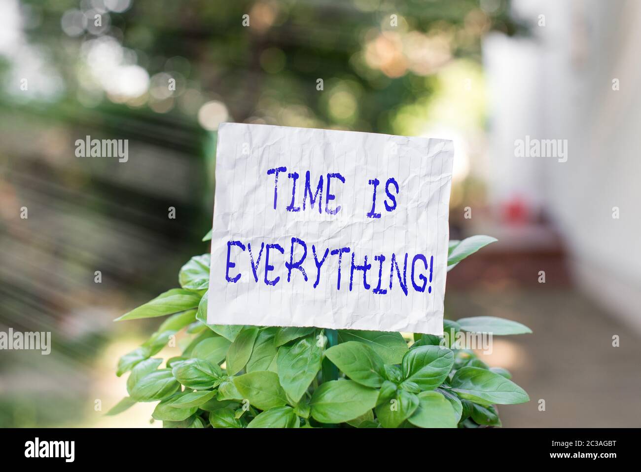 Conceptual hand writing showing Time Is Everything. Concept meaning ...