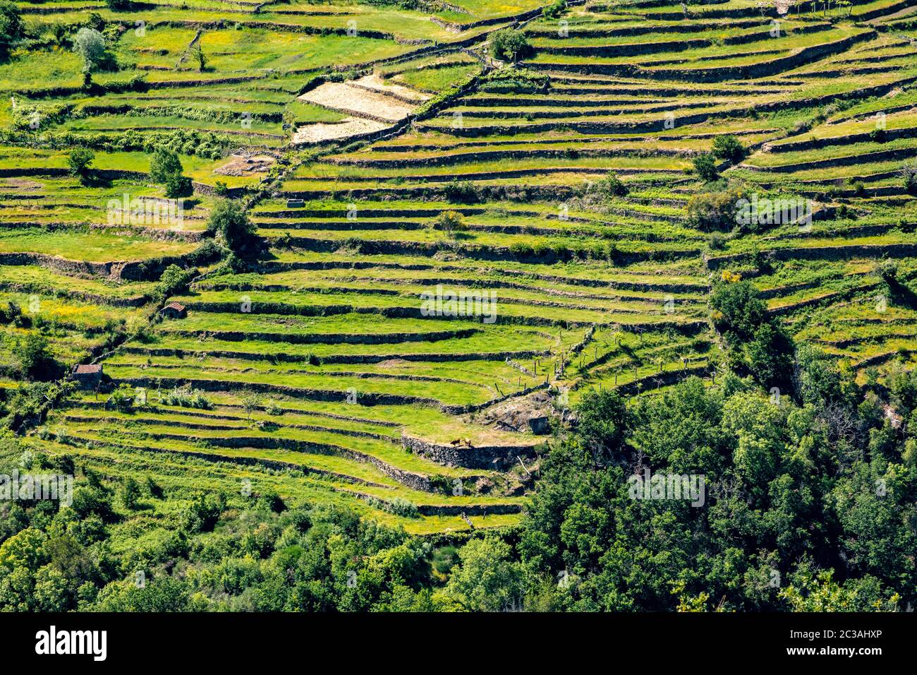 Viewpoint of the Terraces (Miradouro dos Socalcos), overlooking the ...