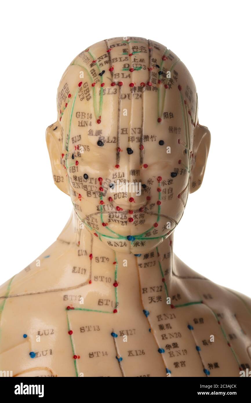 Acupuncture Points Head