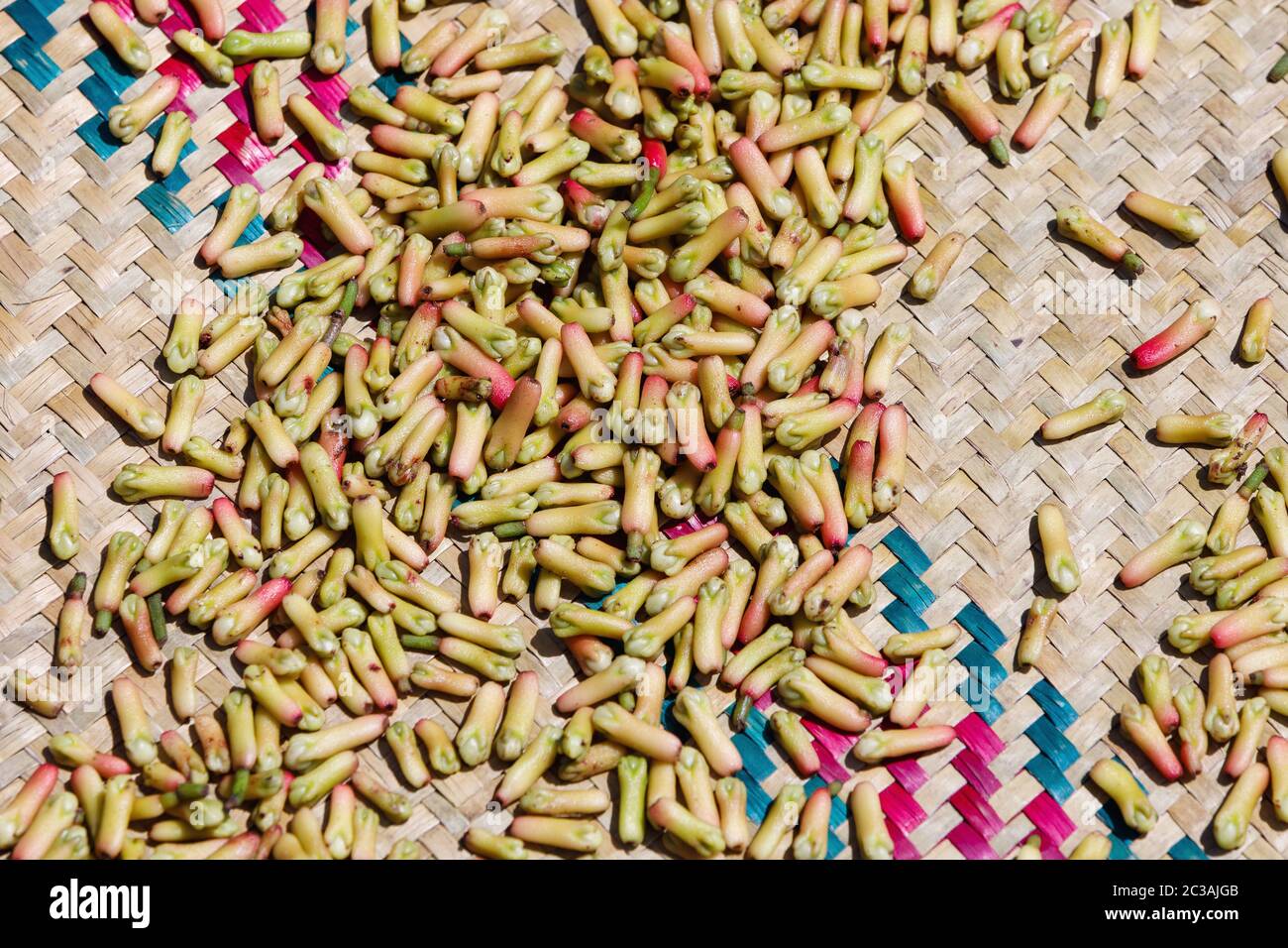 traditional procedure of drying clove spice, Syzygium aromaticum ...