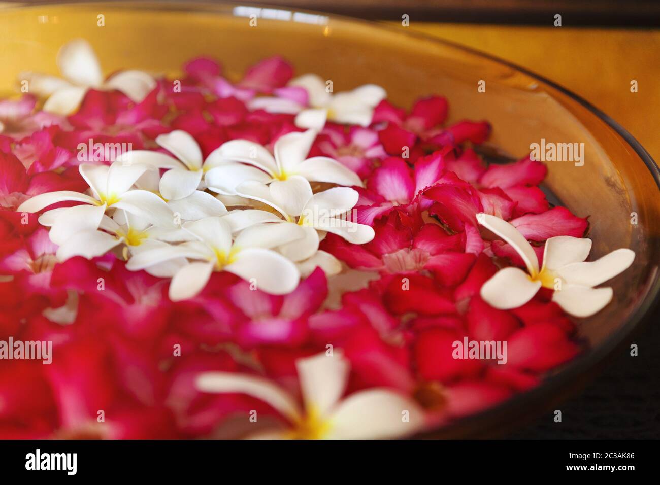 Essential procedures hi-res stock photography and images - Alamy