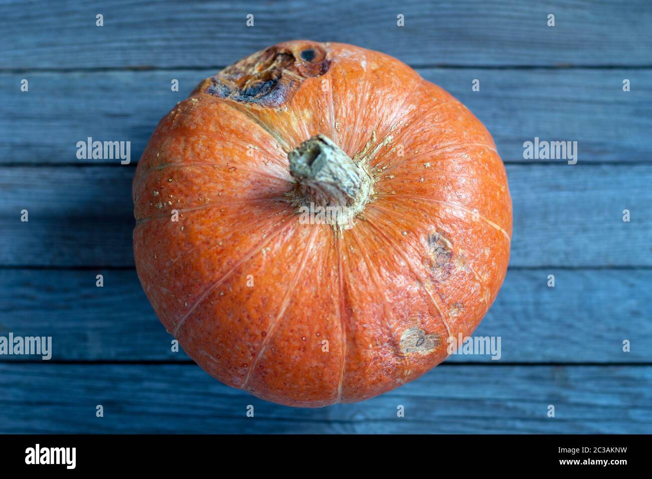 Rotten squash hi-res stock photography and images - Alamy