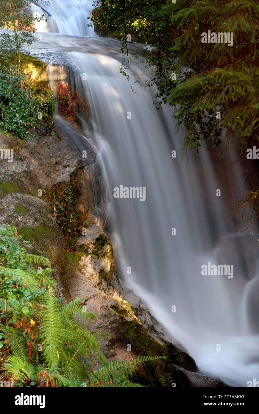 river waterfall in the portuguese national park Stock Photo - Alamy