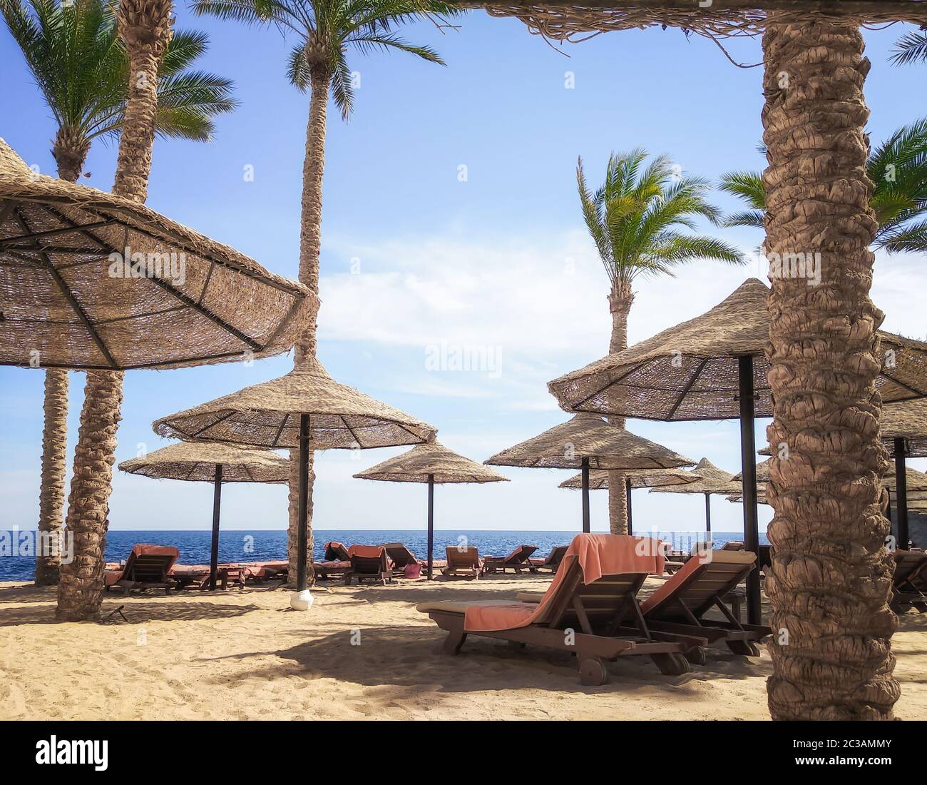 tourist beach without people with palm trees and wooden umbrellas in ...
