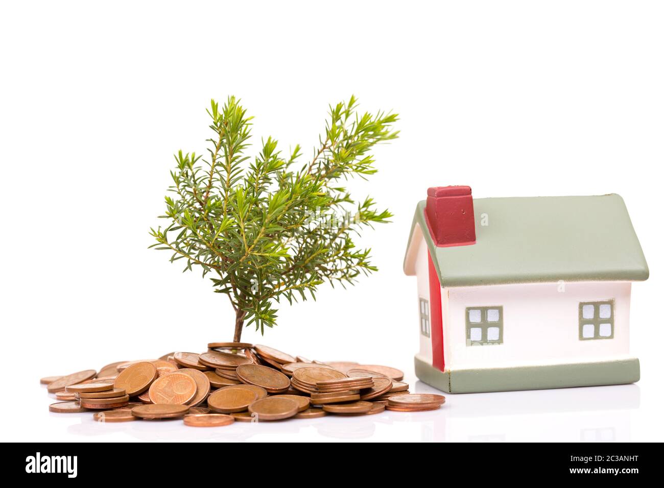 Coins, house and plant isolated on white background Stock Photo - Alamy