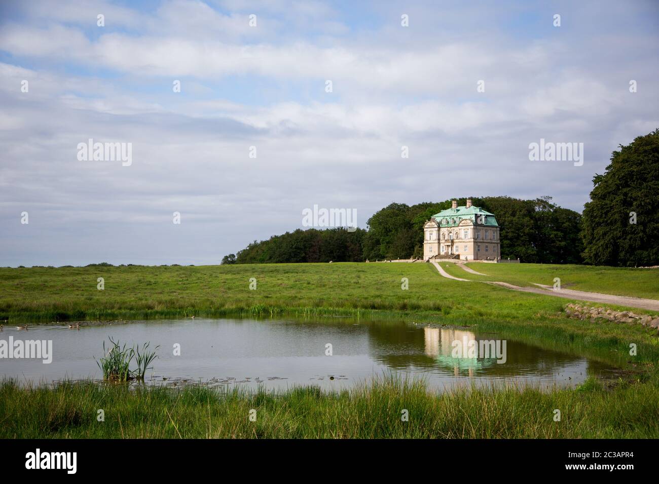 Dyrehaven park copenhagen hi-res stock photography and images - Alamy