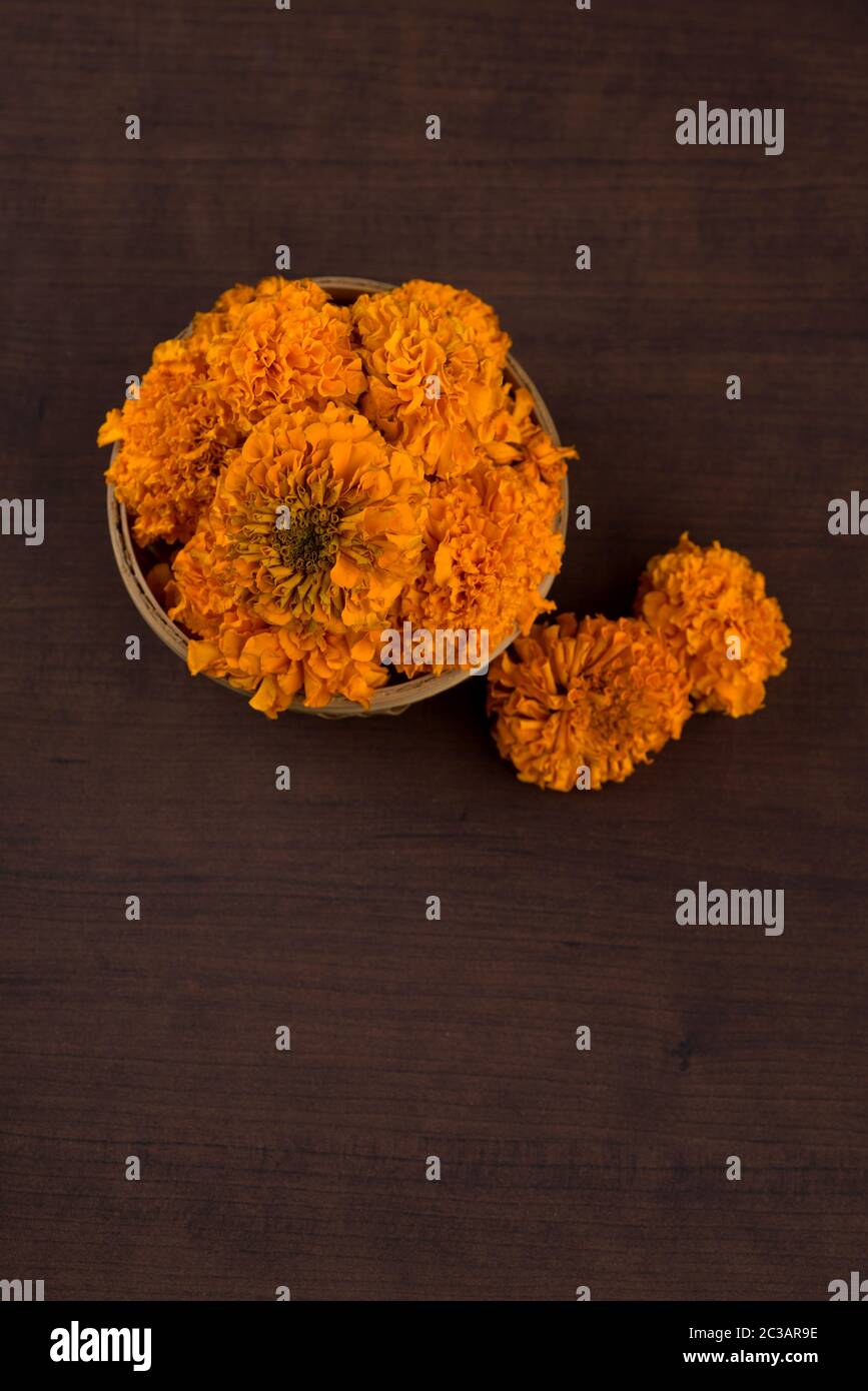 Zendu flower hi-res stock photography and images - Alamy