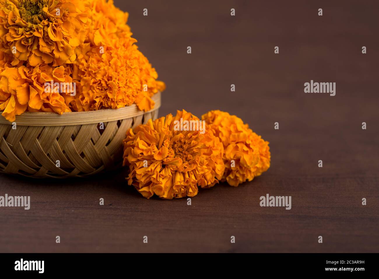 Zendu flower hi-res stock photography and images - Alamy