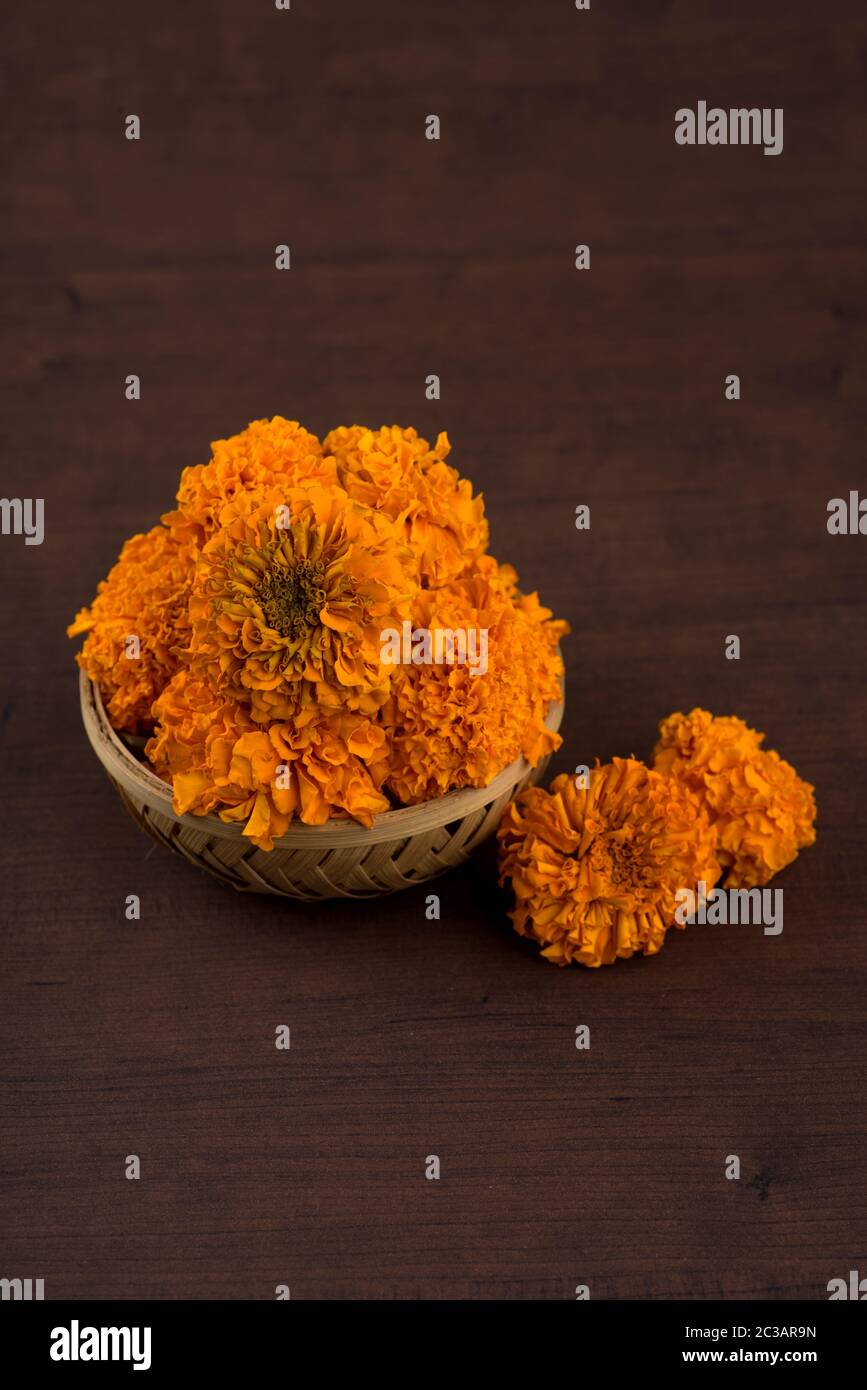 Zendu flower hi-res stock photography and images - Alamy