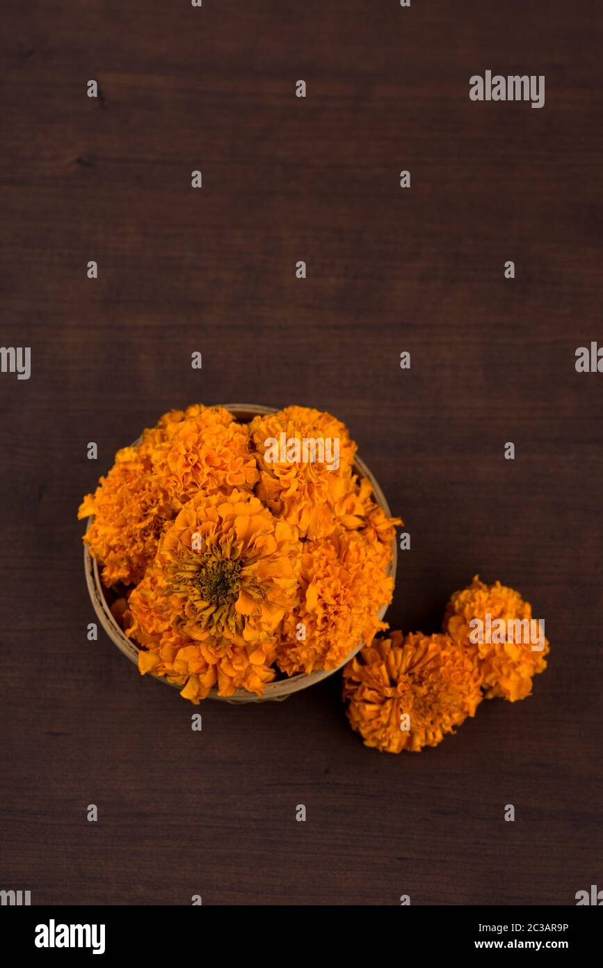 Zendu hi-res stock photography and images - Alamy