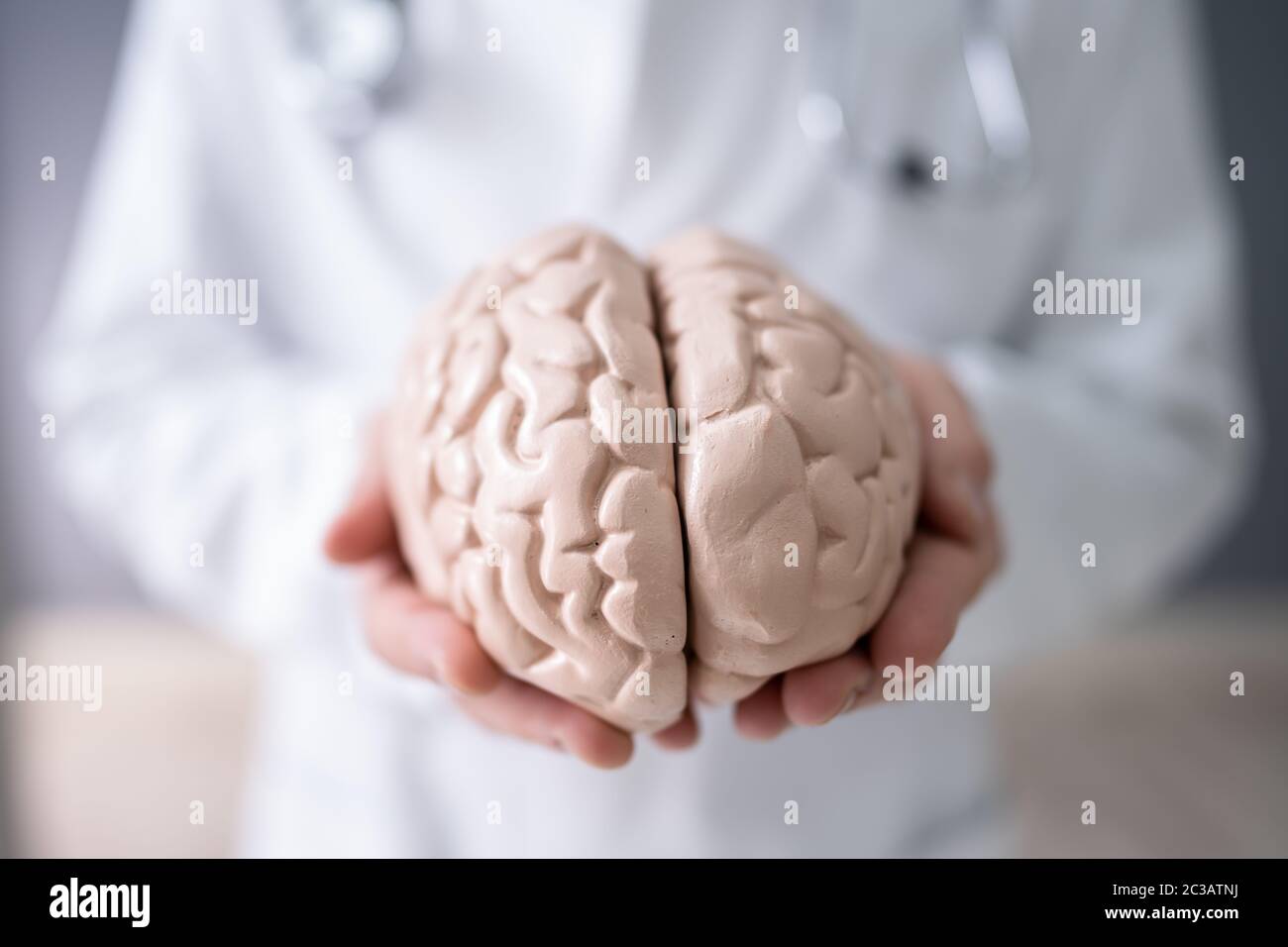 Hand holding human brain organ hi-res stock photography and images - Alamy