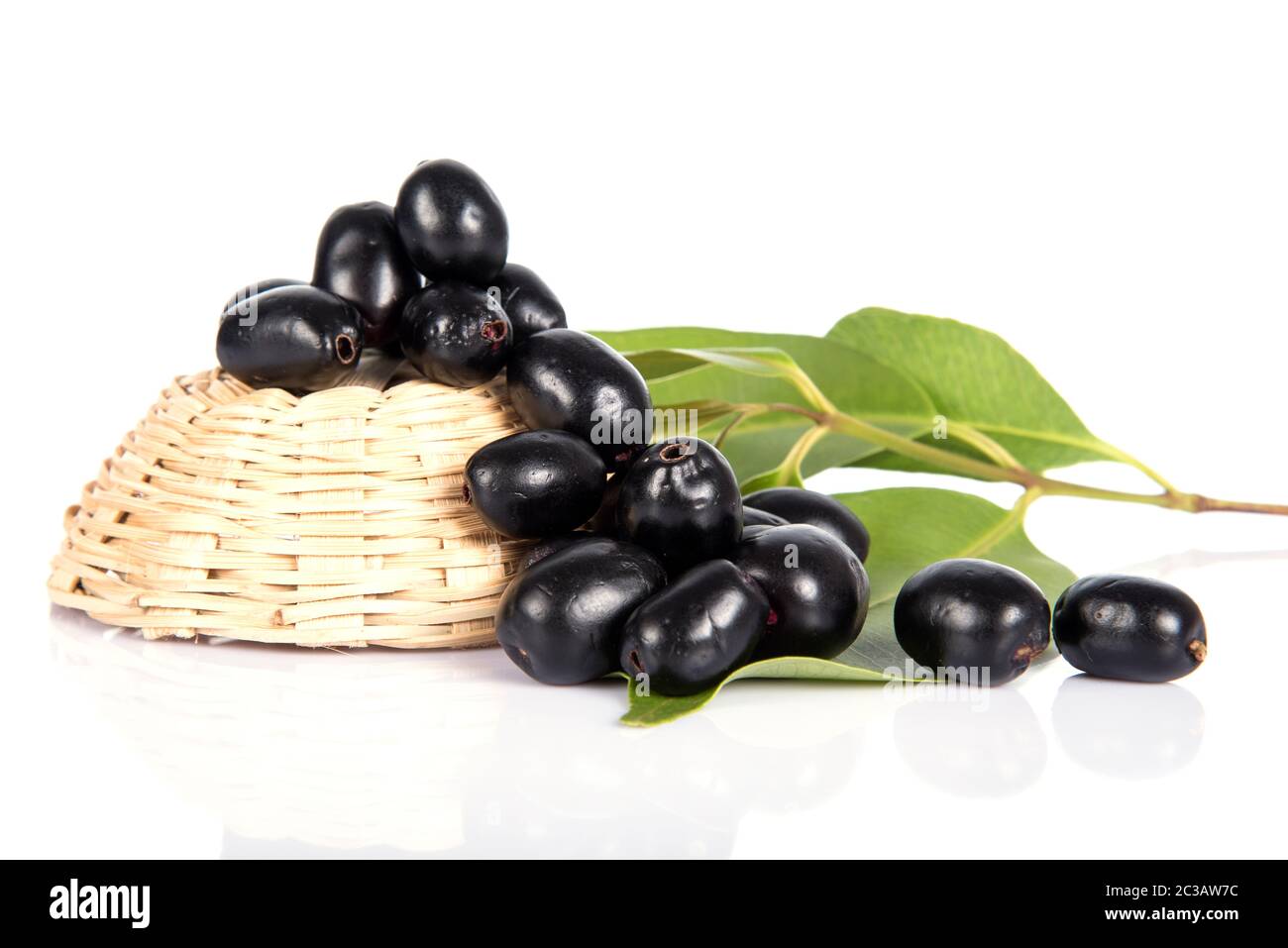 Jambolan plum or Java plum (Syzygium cumini Stock Photo - Alamy