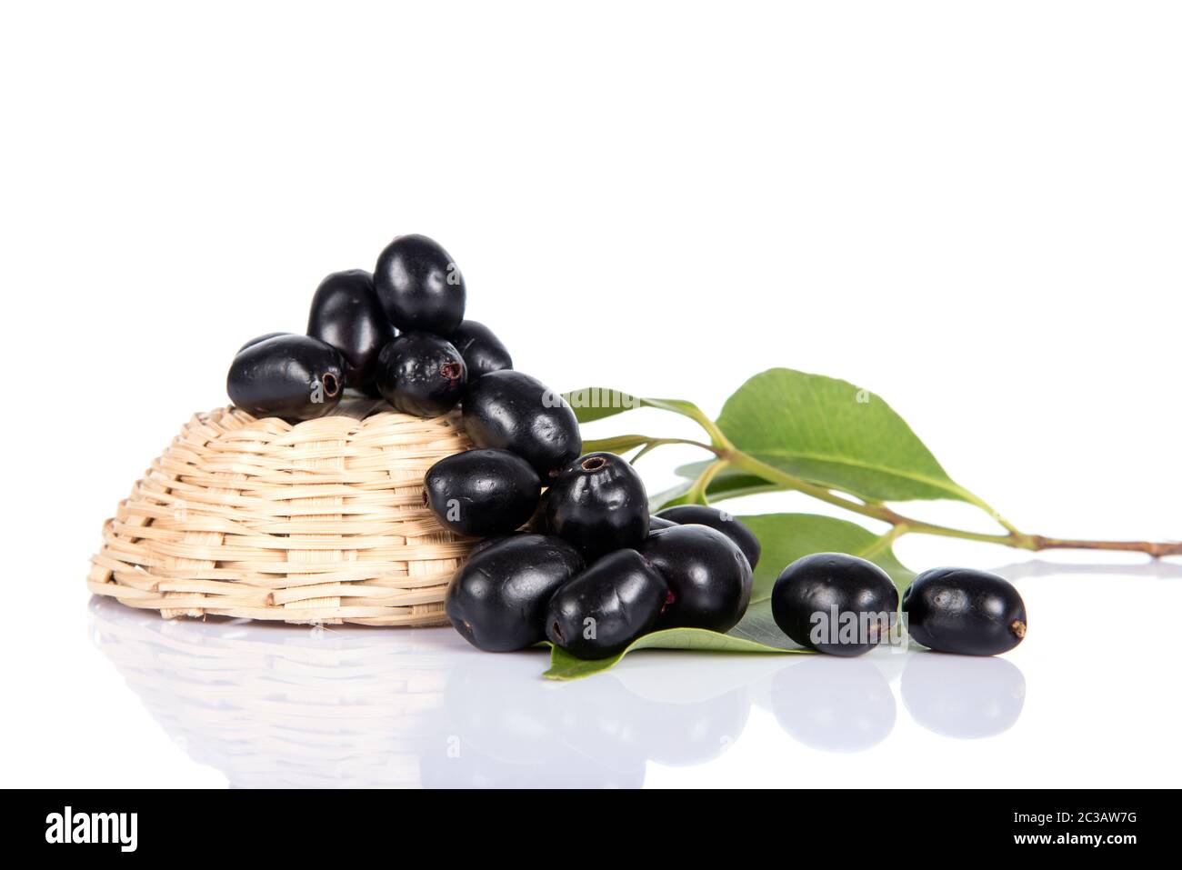 Jambolan plum or Java plum (Syzygium cumini Stock Photo - Alamy