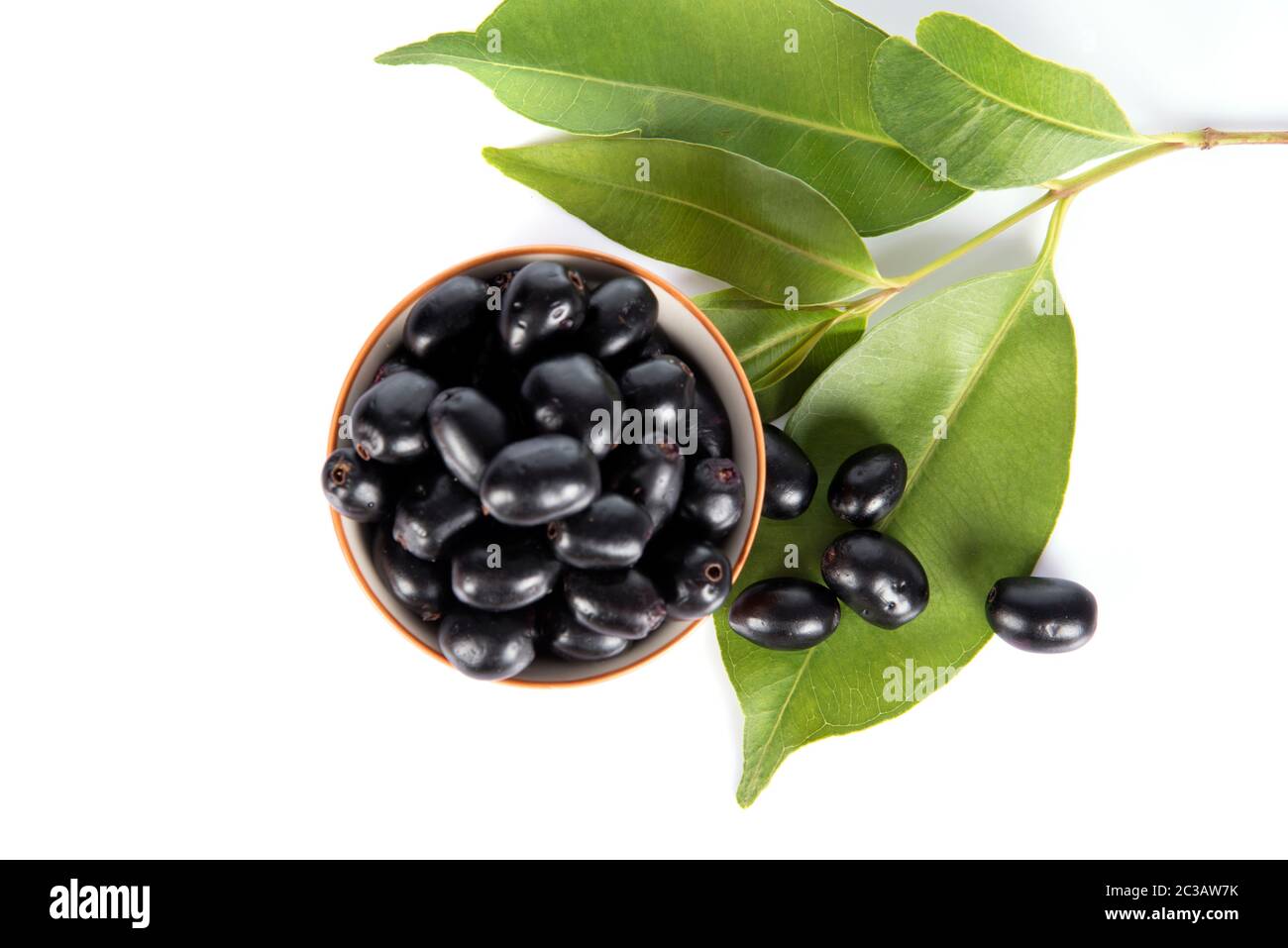 Jambolan plum or Java plum (Syzygium cumini Stock Photo - Alamy