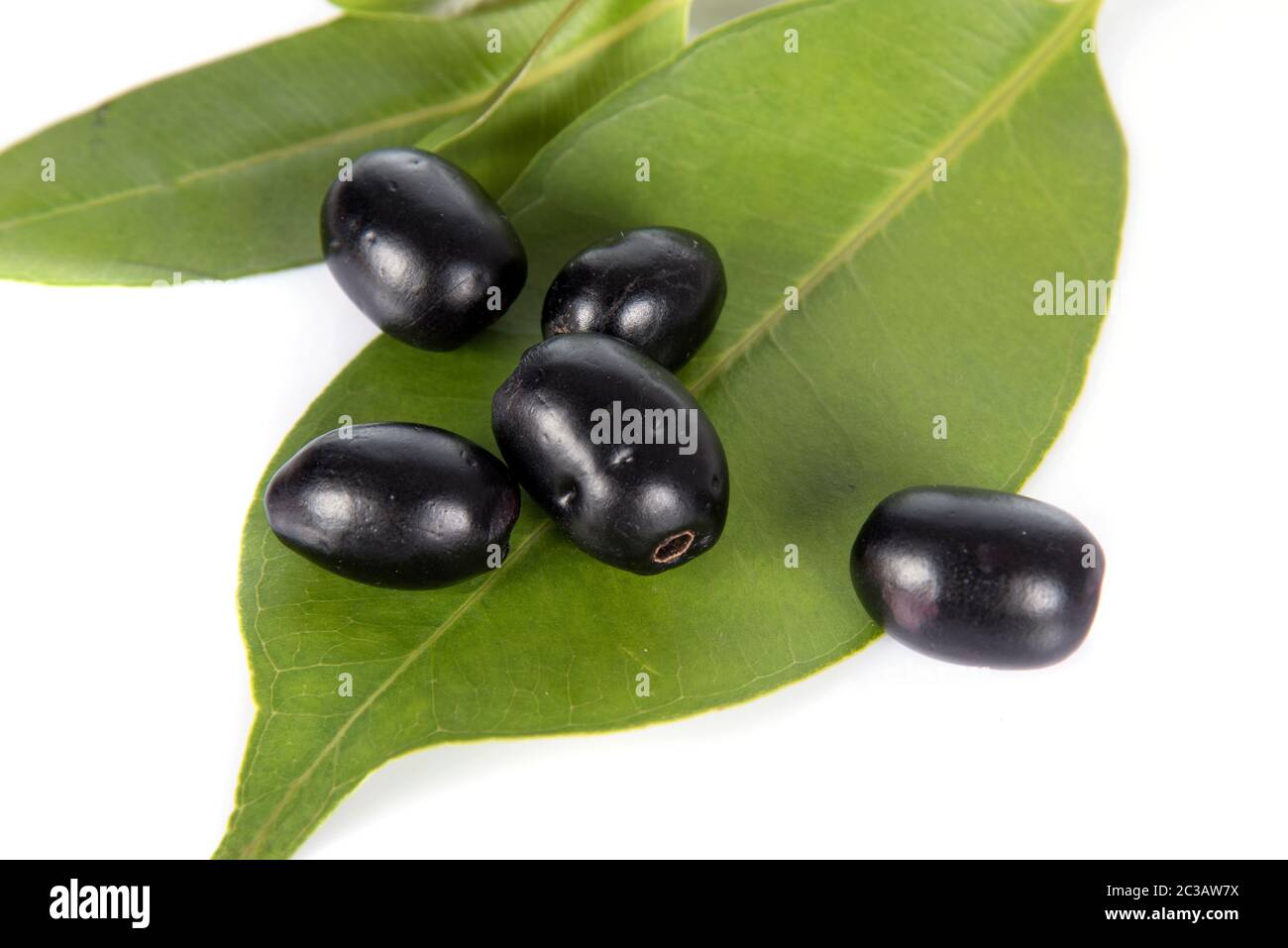 Jambolan plum or Java plum (Syzygium cumini Stock Photo - Alamy