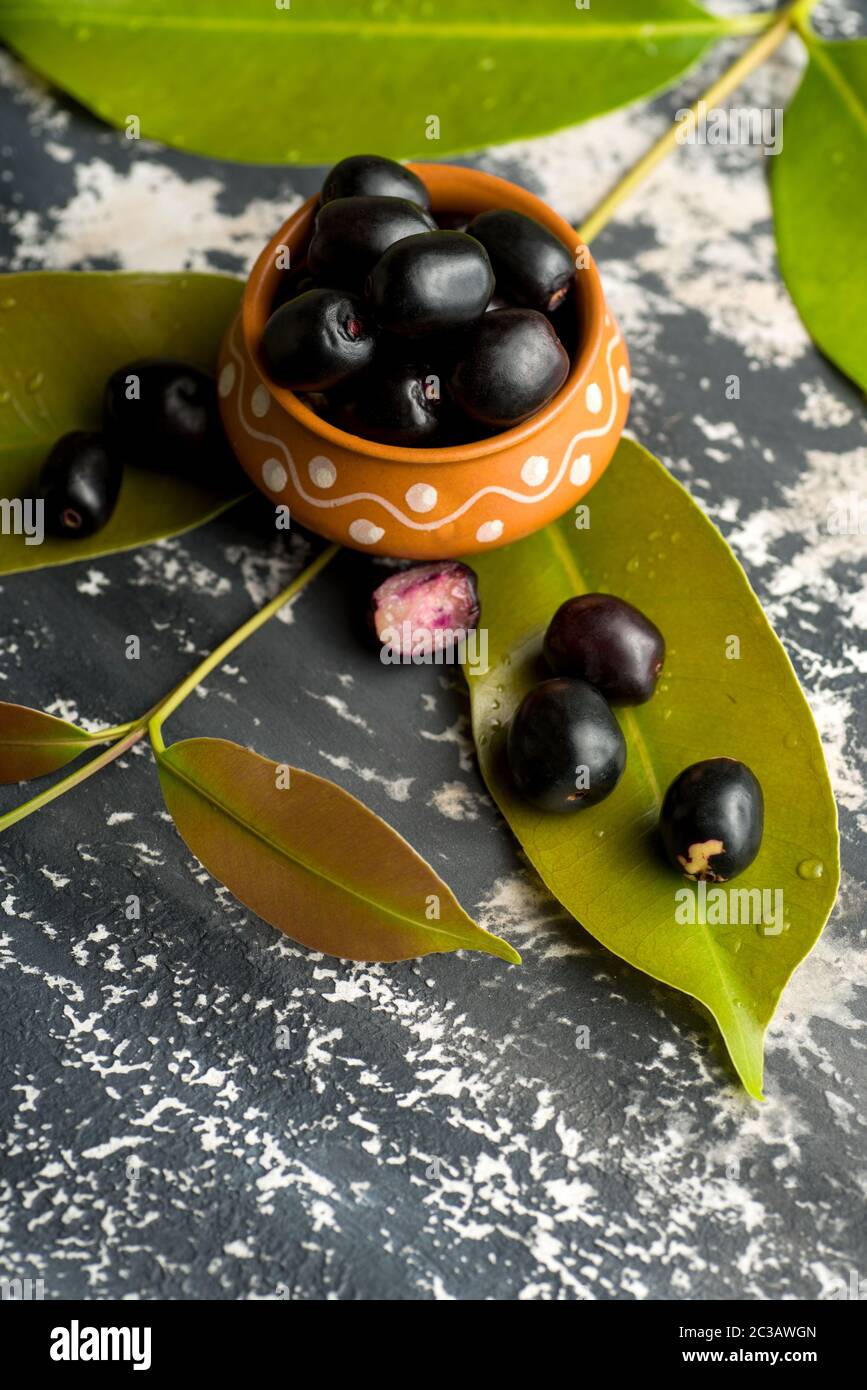 Jambolan plum or jambul or Jamun fruit, Java plum (Syzygium cumini ...