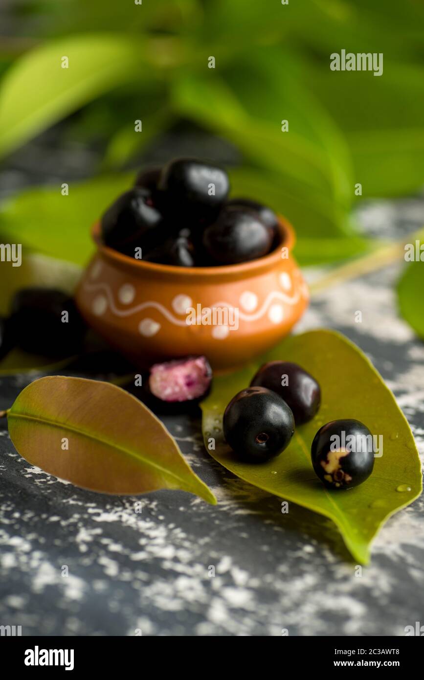 Jambolan plum or jambul or Jamun fruit, Java plum (Syzygium cumini ...