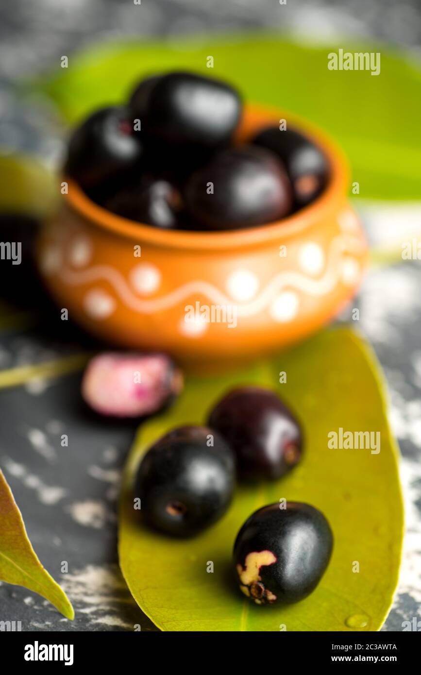 Jambolan plum or jambul or Jamun fruit, Java plum (Syzygium cumini ...