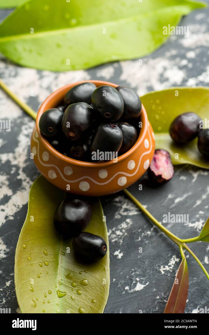 Jambolan plum or jambul or Jamun fruit, Java plum (Syzygium cumini ...