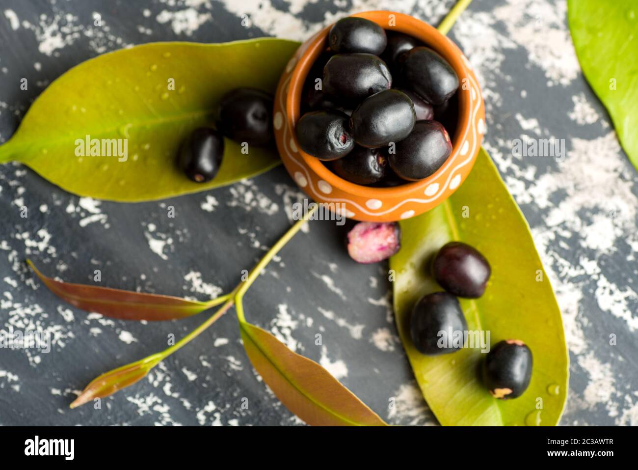 Jambolan plum or jambul or Jamun fruit, Java plum (Syzygium cumini ...