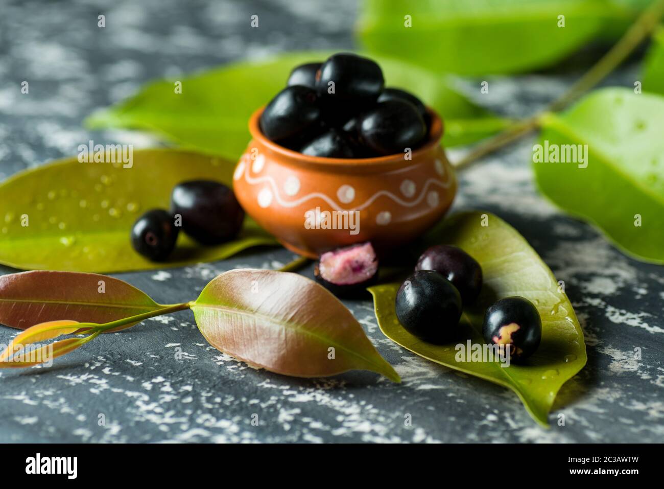 Jambolan plum or jambul or Jamun fruit, Java plum (Syzygium cumini ...