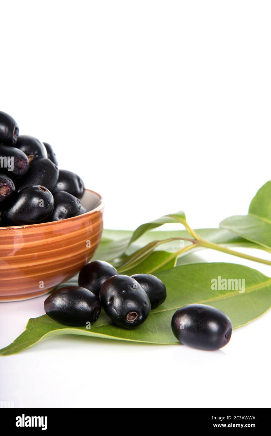 Jambolan plum or Java plum (Syzygium cumini Stock Photo - Alamy