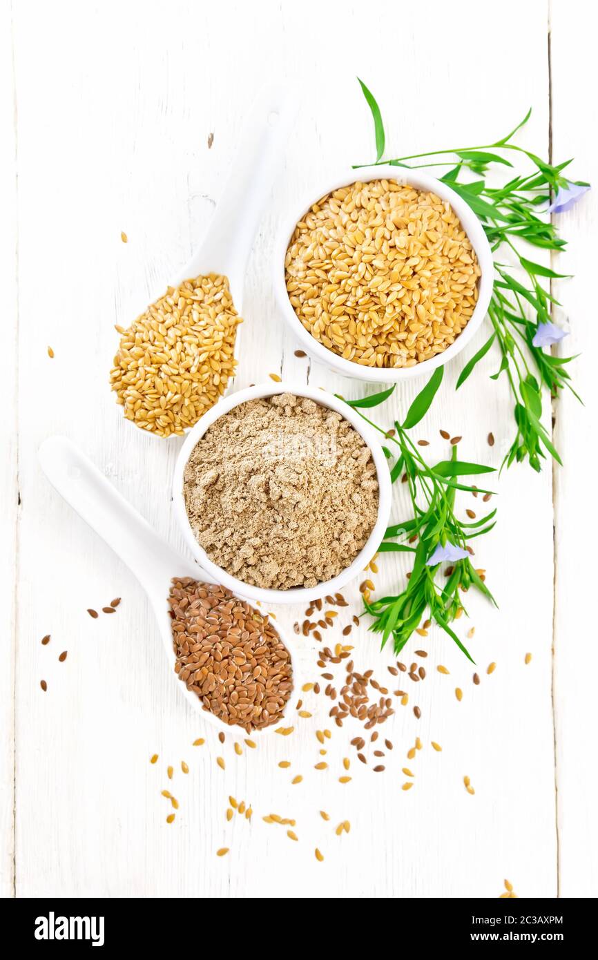 Light blue flowers with a white top Cut Out Stock Images & Pictures - Alamy