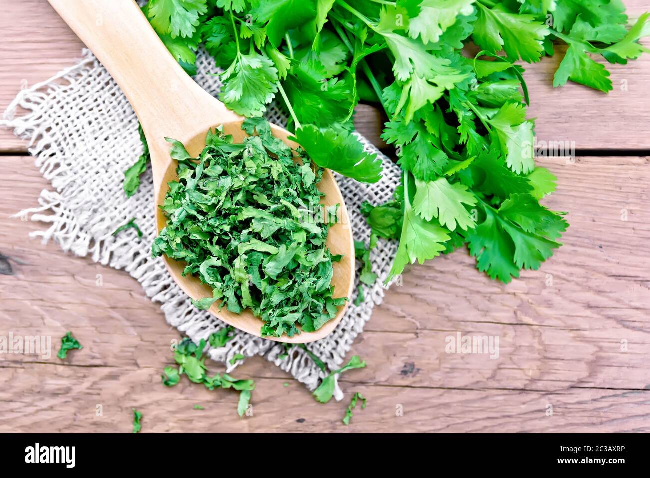 Dried cilantro in a spoon on burlap, fresh cilantro herb on a wooden ...