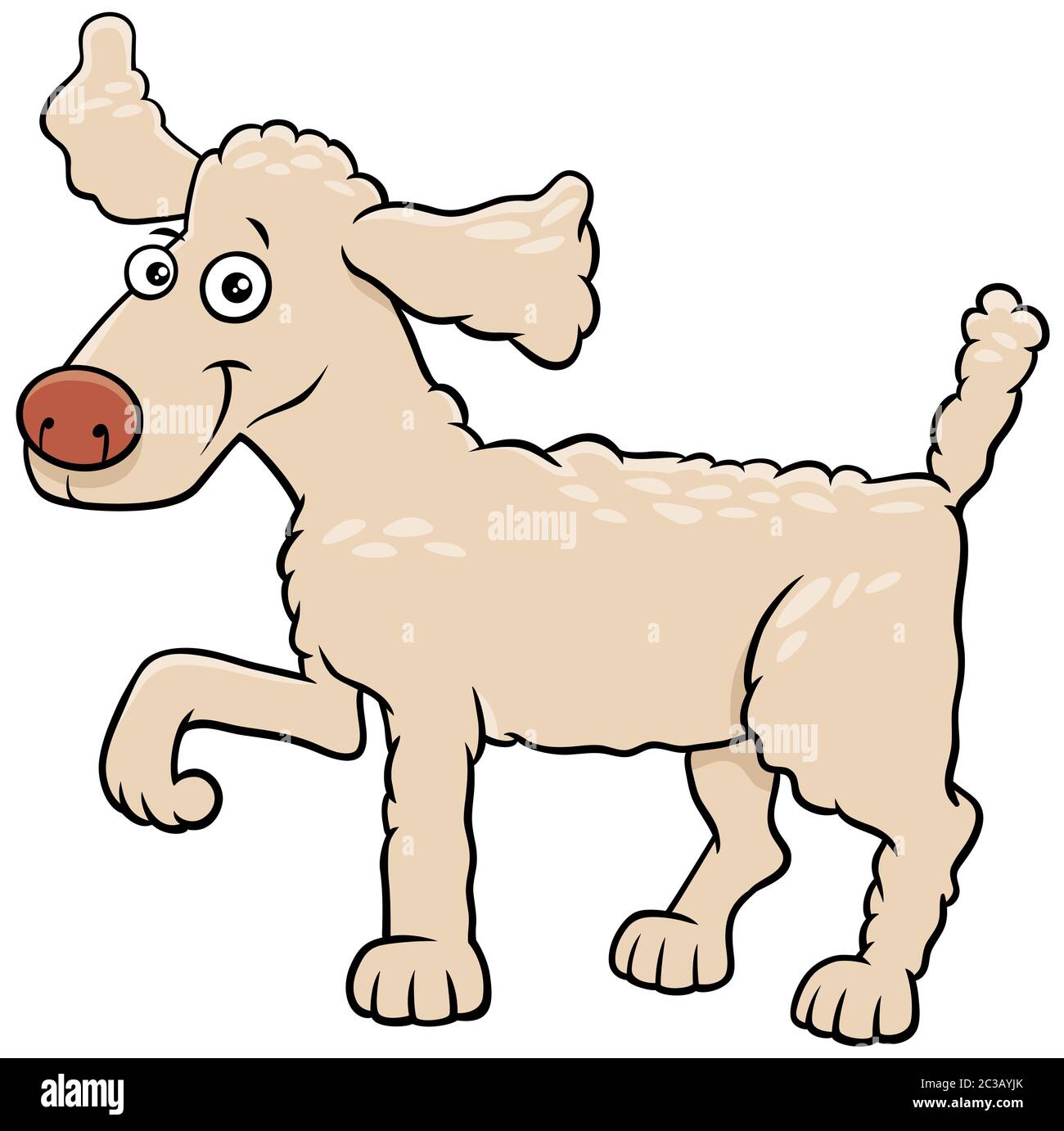 cartoon poodle dog pet animal character Stock Photo - Alamy