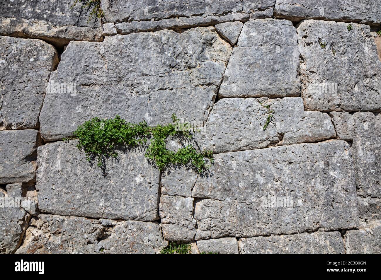 The ancient megalithic walls surround the acropolis of Amelia, in ...