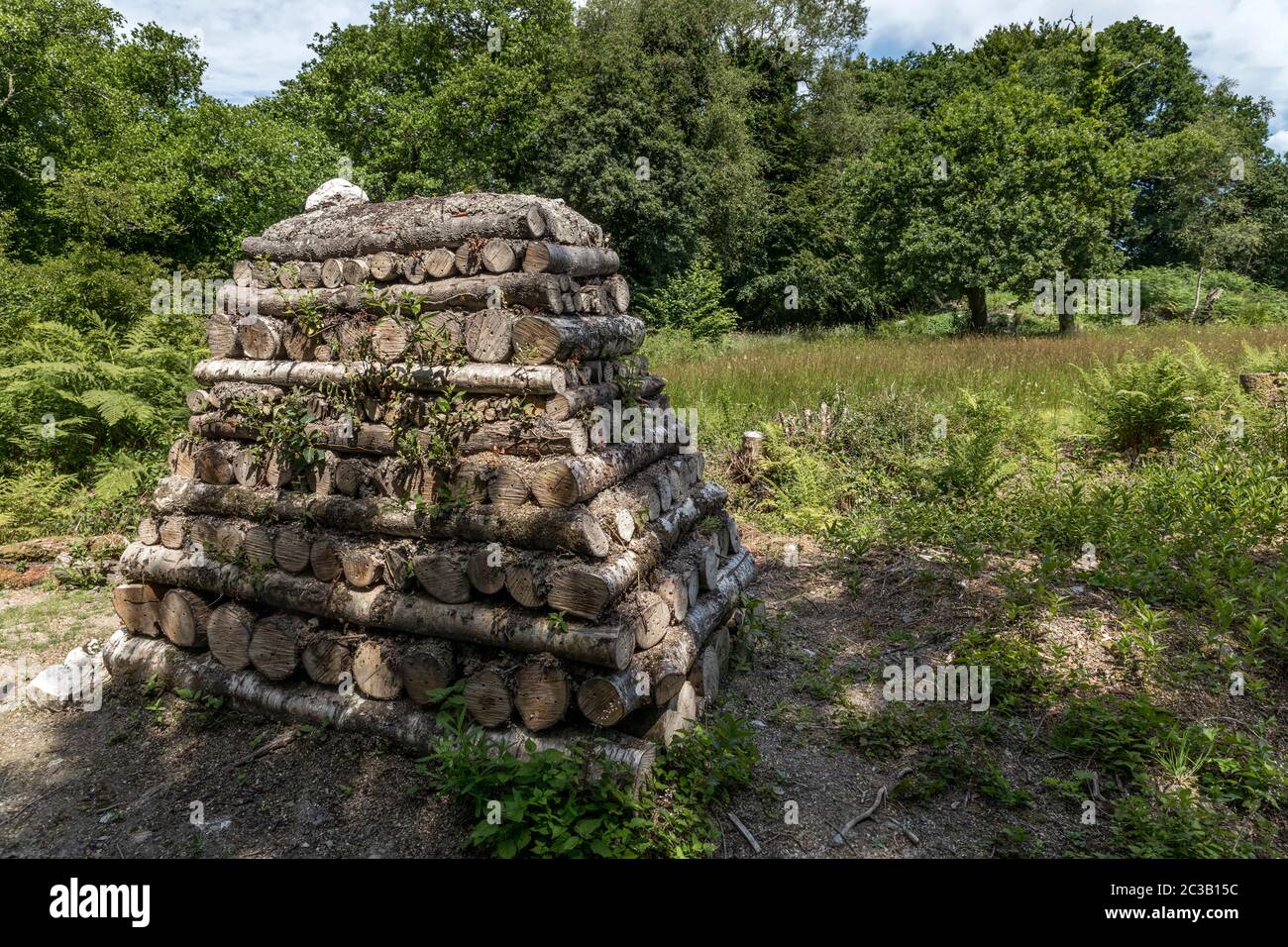Log Insect House; UK Stock Photo - Alamy