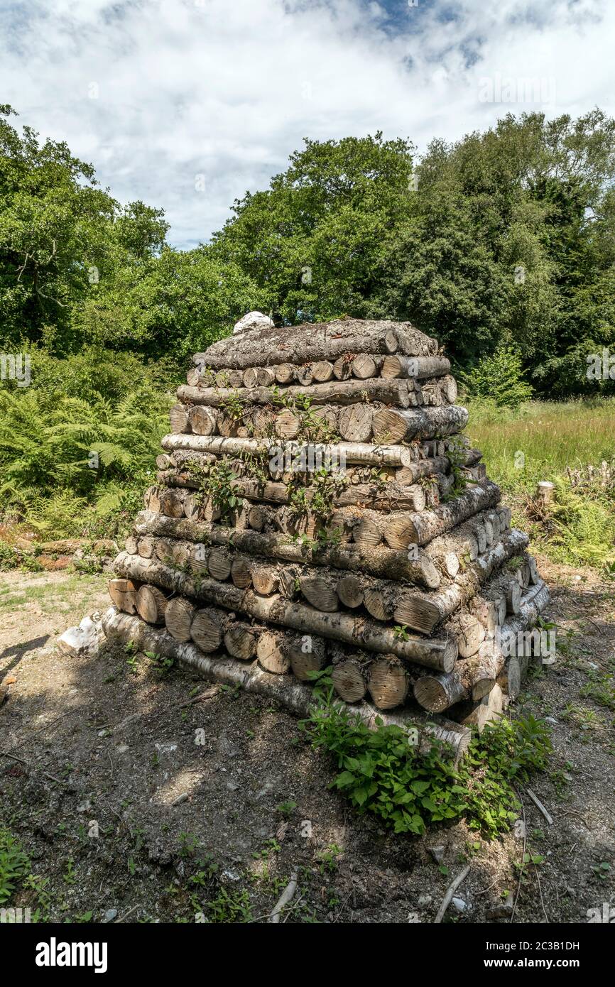 Insect House Made from Logs; UK Stock Photo - Alamy
