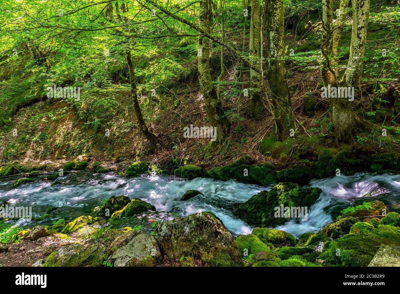 Cascade of river in the forest of Montenegro Stock Photo - Alamy