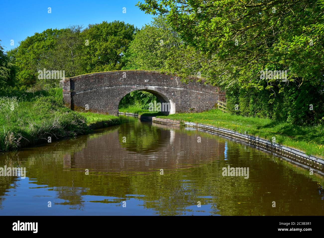 Old man at bridge hi-res stock photography and images - Alamy