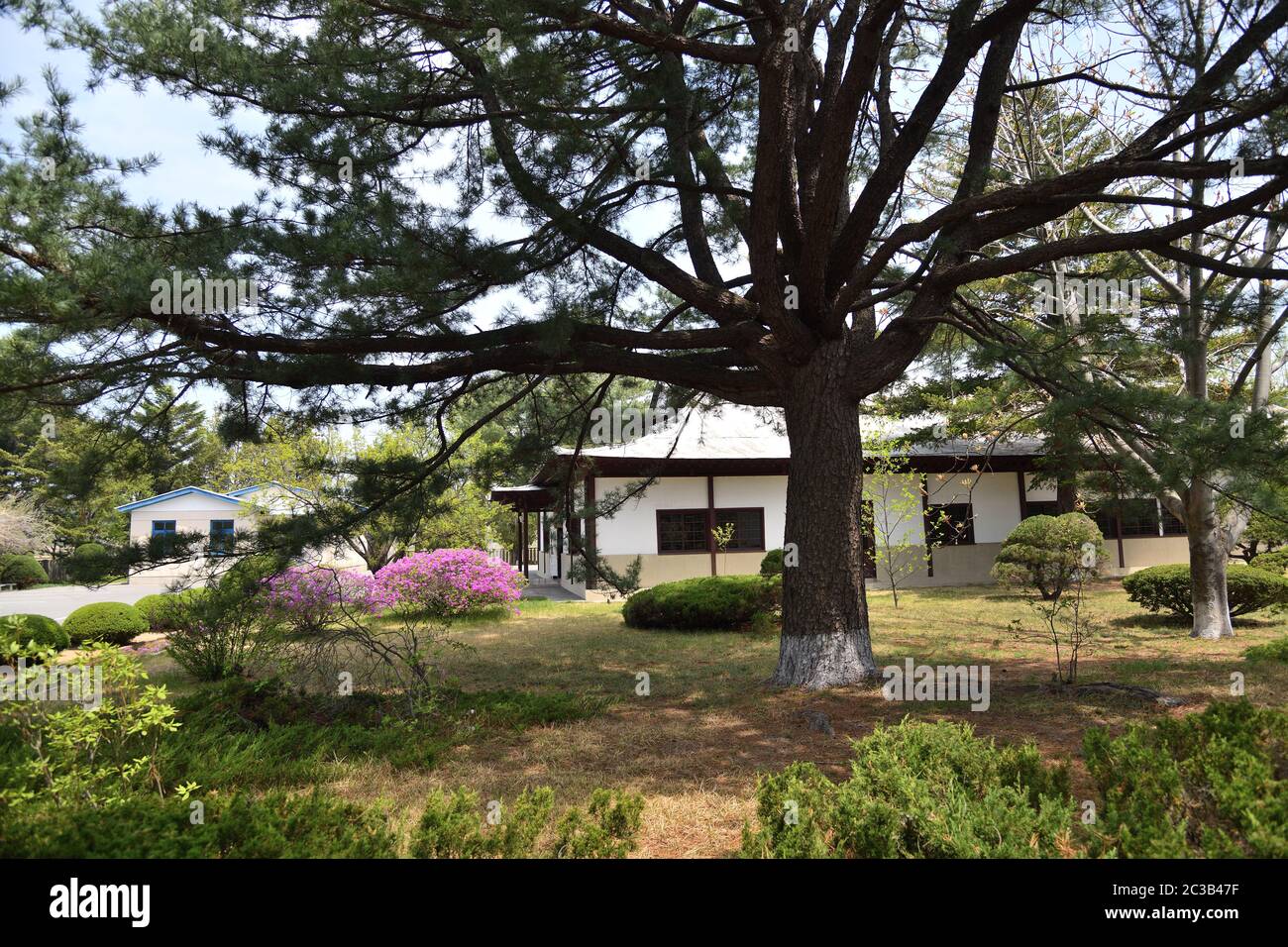 Dmz korea wild hi-res stock photography and images - Alamy