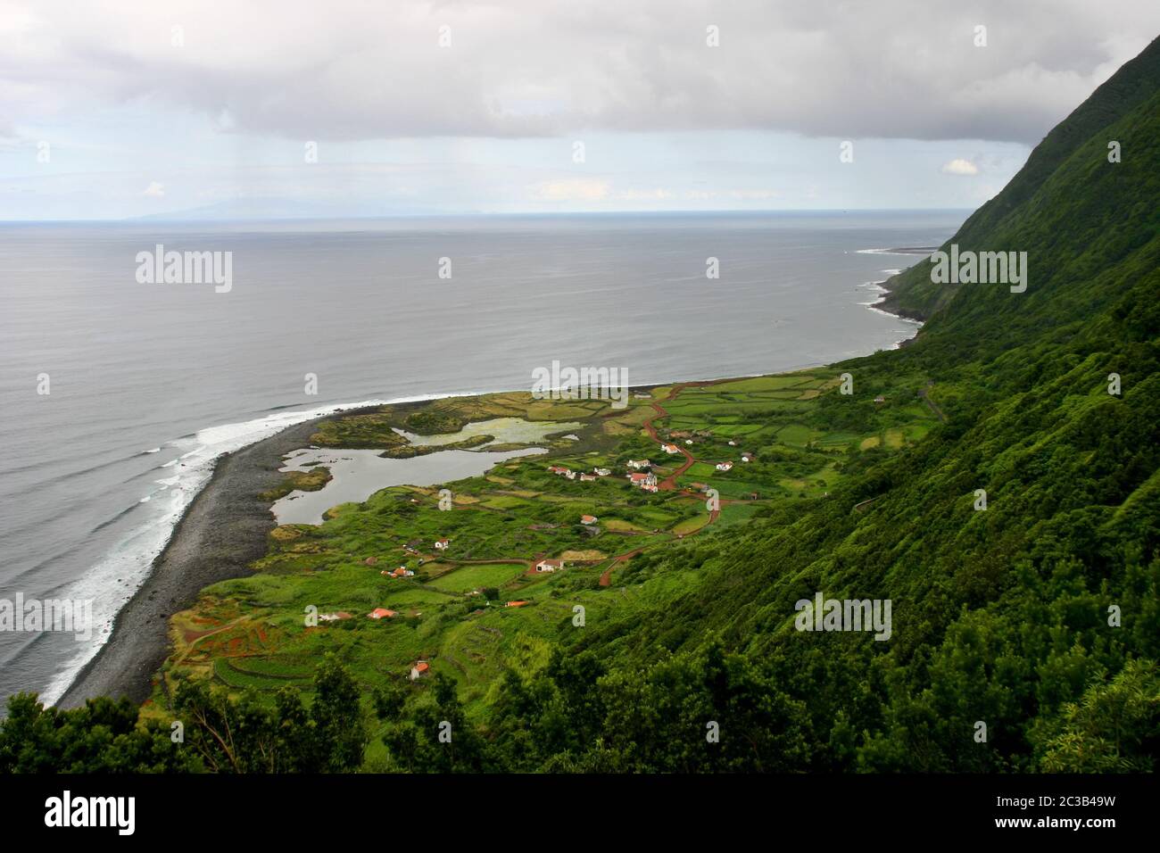 Azores hydrangea farm hi-res stock photography and images - Alamy