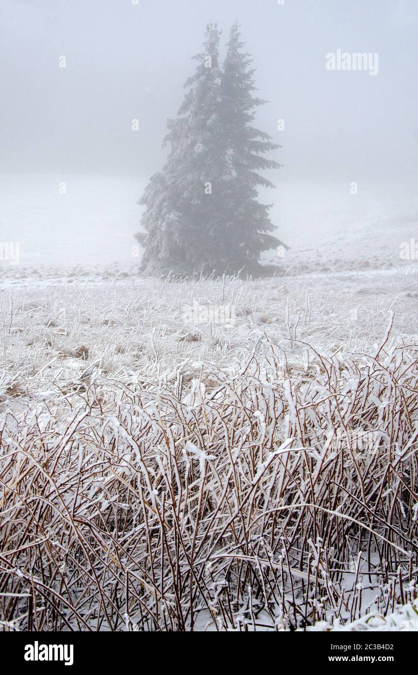 Fog precipitation hi-res stock photography and images - Alamy