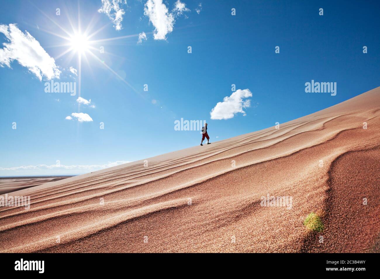 Hike in desert Stock Photo - Alamy