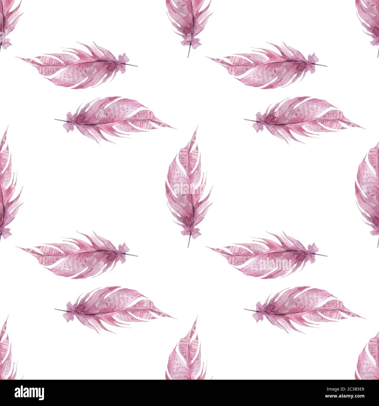 Pink feathers on white background. Hand draw watercolor illustration ...