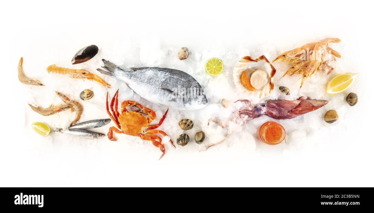 Fish and seafood variety, a flat lay overhead panorama on a white ...
