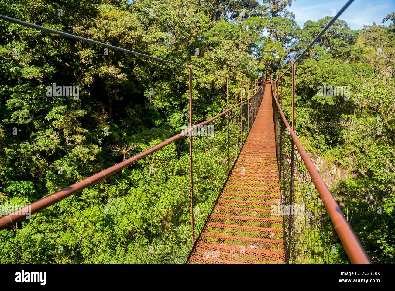 old hanging bridge in the jungle of Panama Stock Photo - Alamy