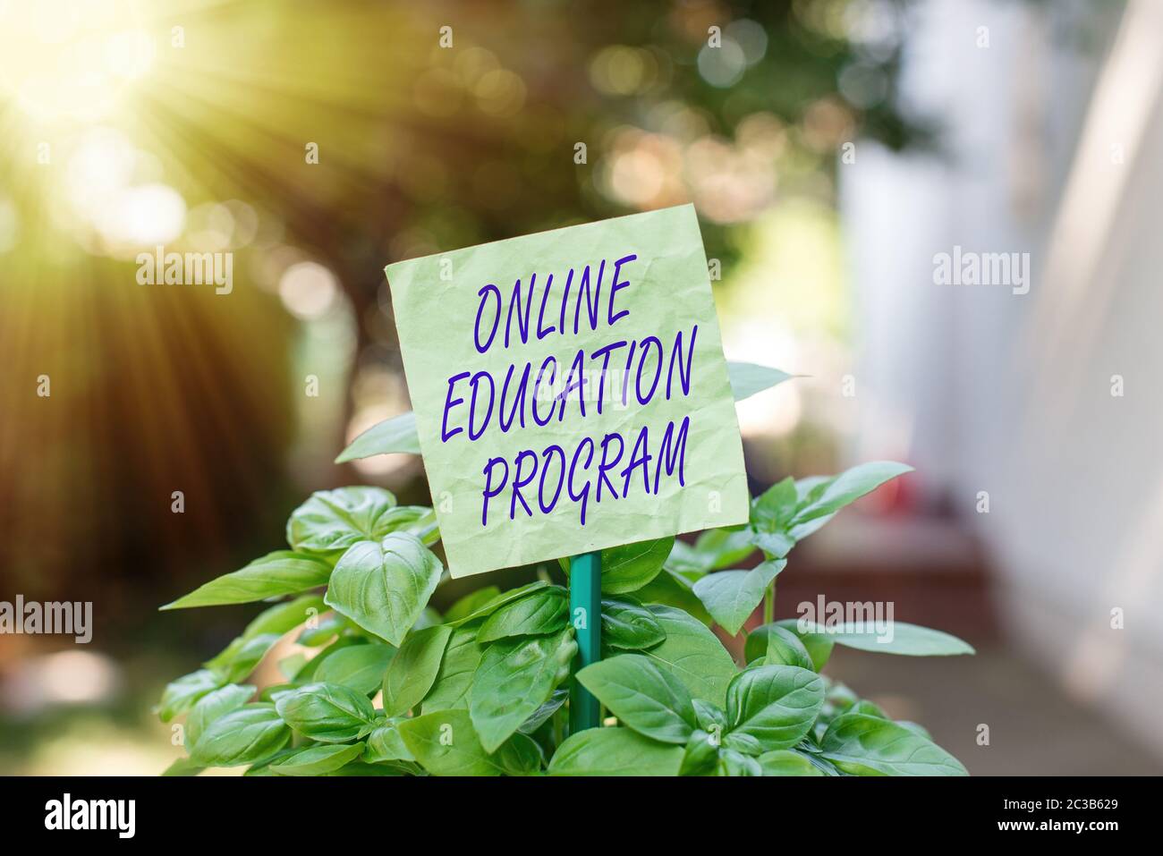Text sign showing Online Education Program. Business photo text ...