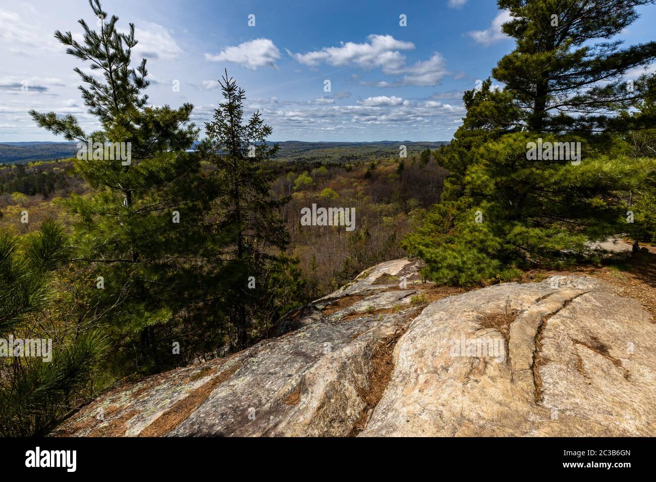 Algonquin forest hi-res stock photography and images - Alamy