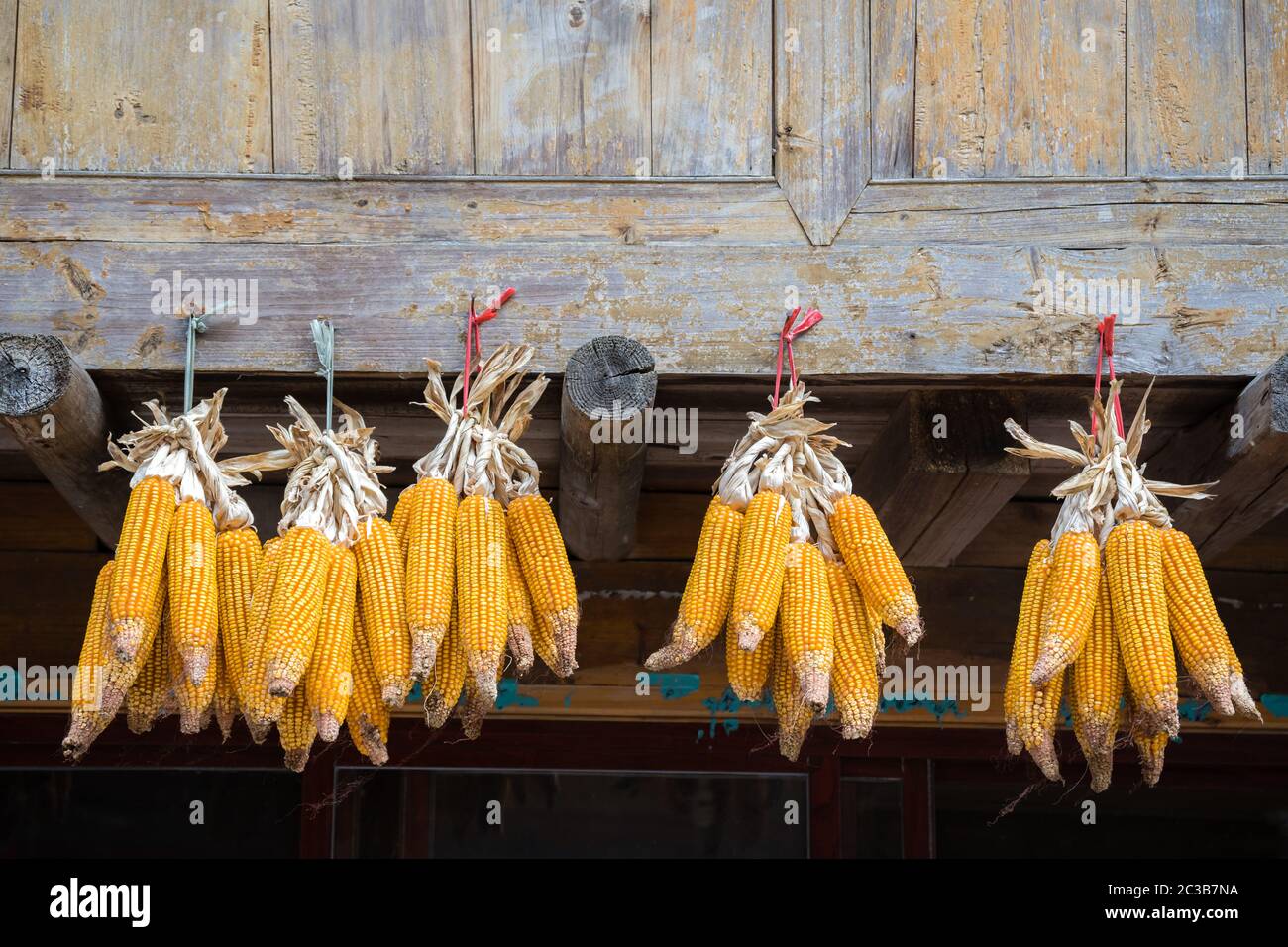 Piles of corn hanging from an old wooden village house to dry, Longji ...