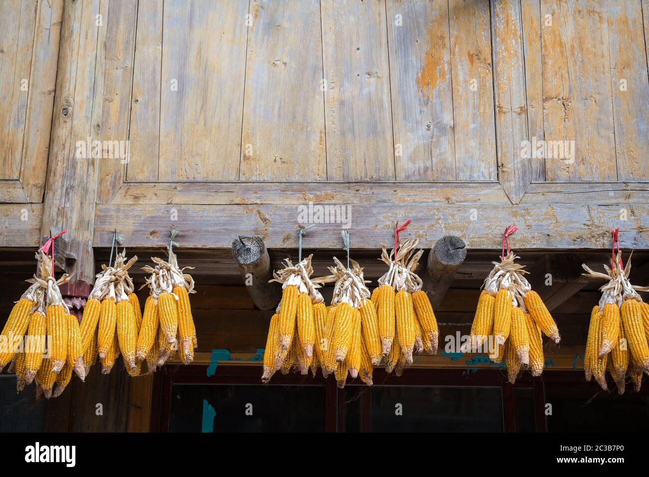 Piles of corn hanging from an old wooden village house to dry, Longji ...