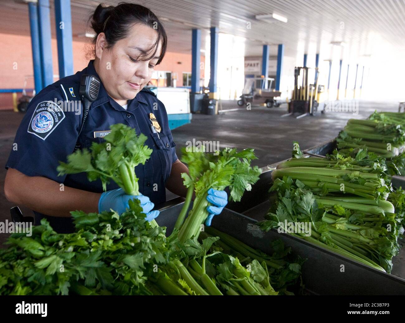 Female customs inspector hi-res stock photography and images - Alamy