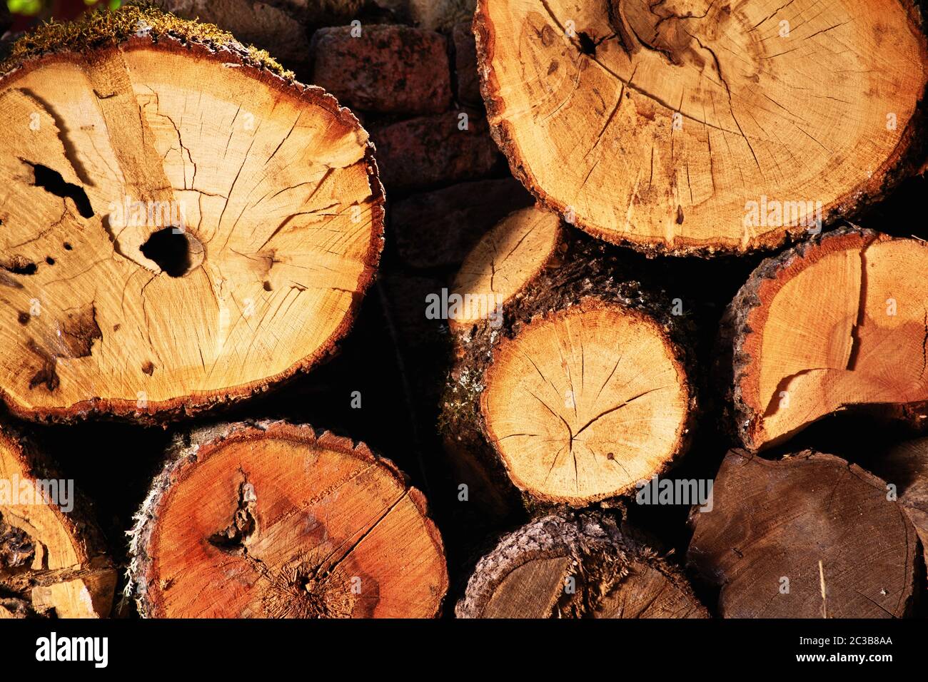 Freshly cut and stacked tree logs ready for the winter fireplace ...